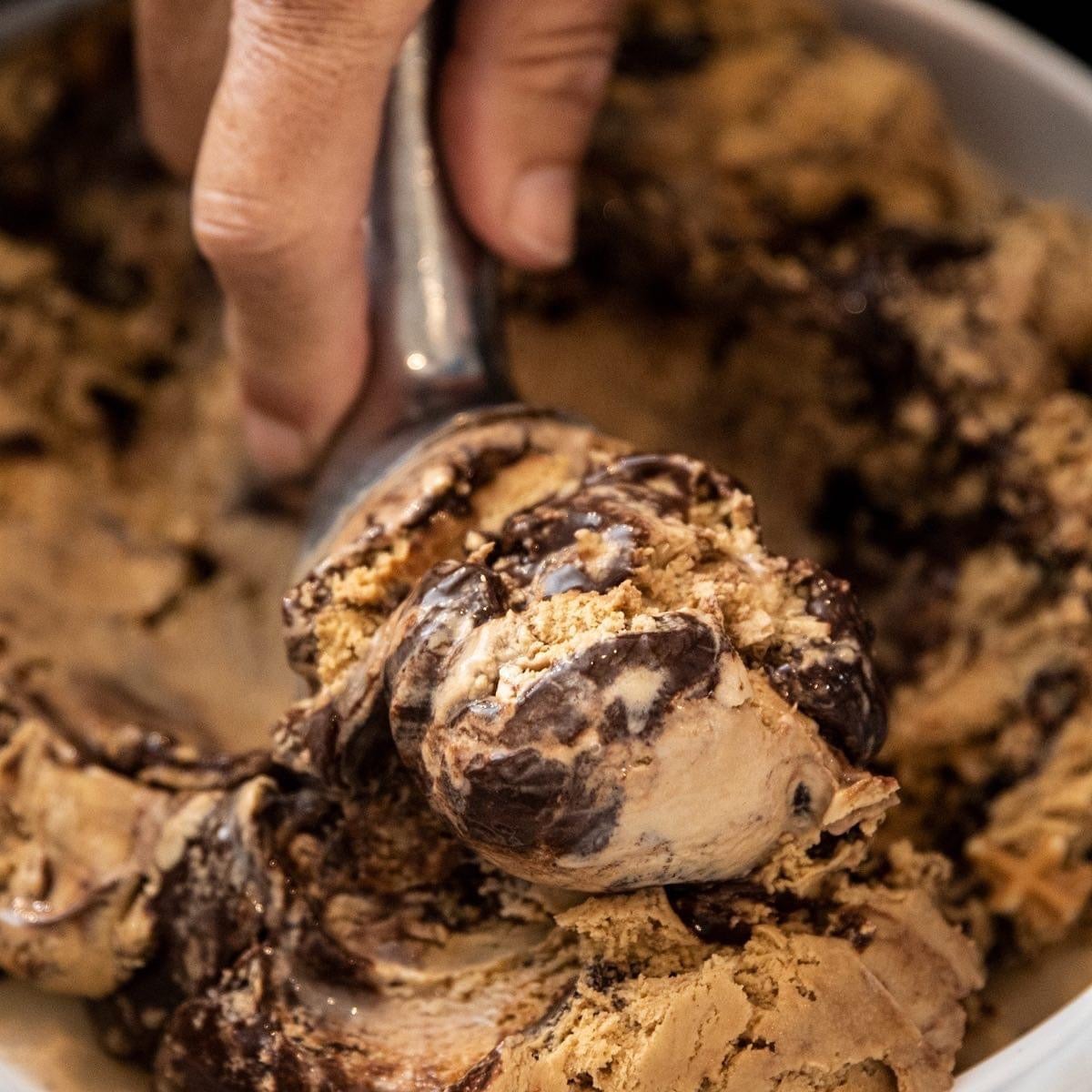 Home | Vanilla Bean Creamery